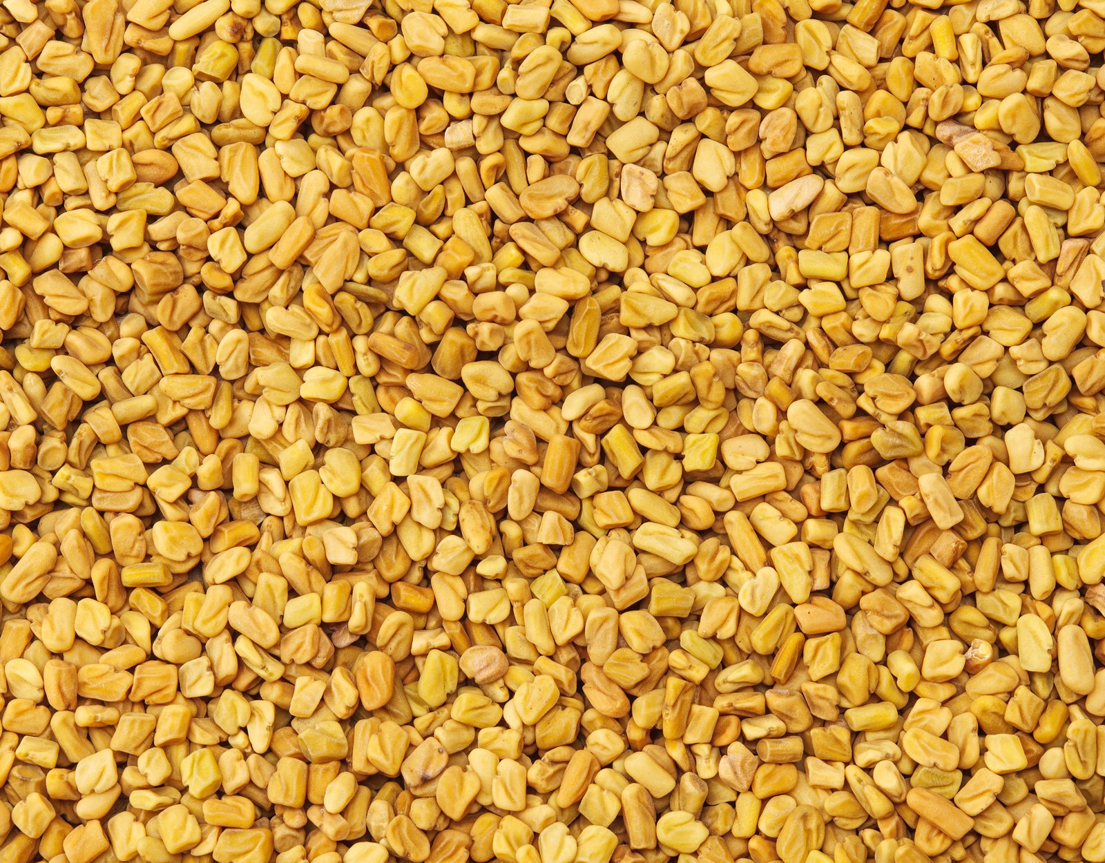 Fenugreek – Din Dayal and Sons