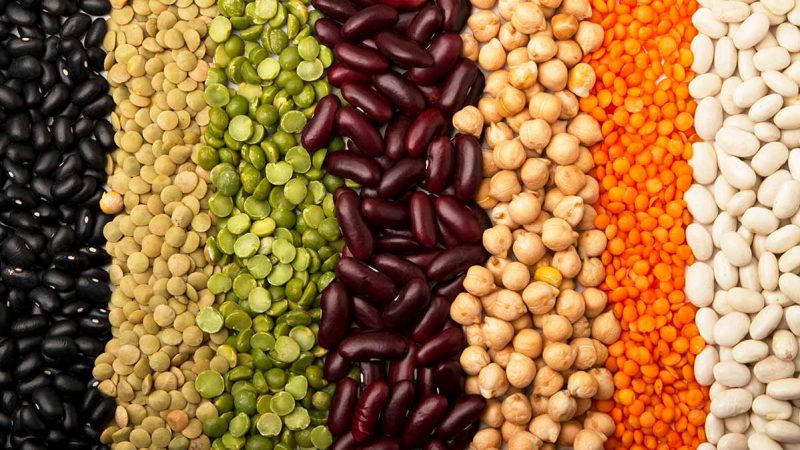 Pulses – Din Dayal and Sons